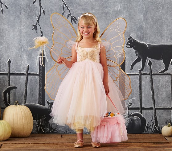 Pottery Barn Fairy Costume