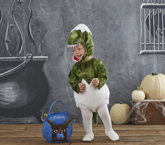 Pottery Barn Dinosaur Costume