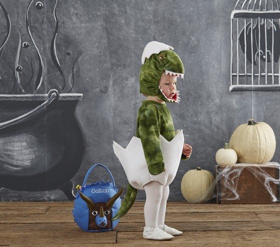 Pottery Barn Dinosaur Costume